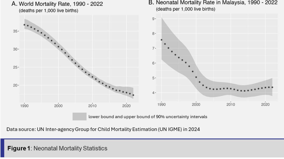 Investigating causal pathways to neonatal mortality