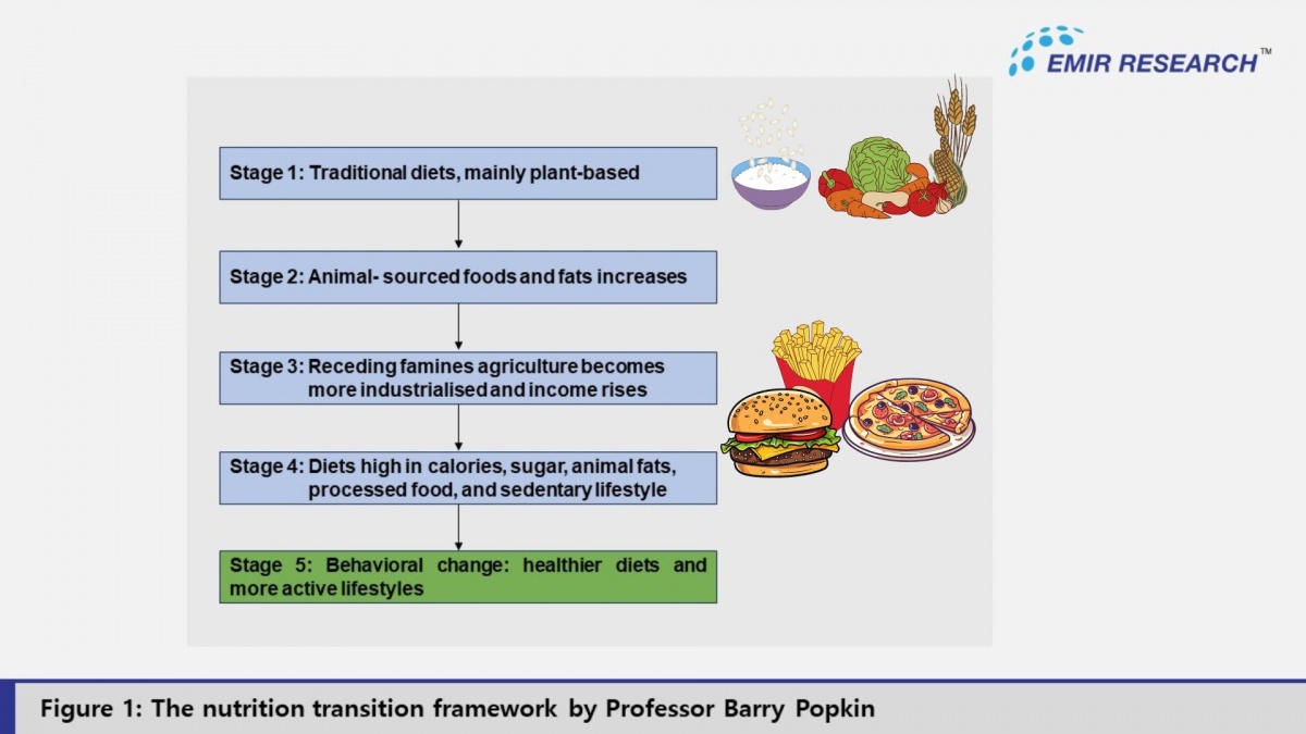 Addressing the socioeconomic gaps in nutrition transition on health